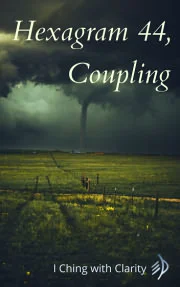 Hexagram 44, Coupling | I Ching with Clarity