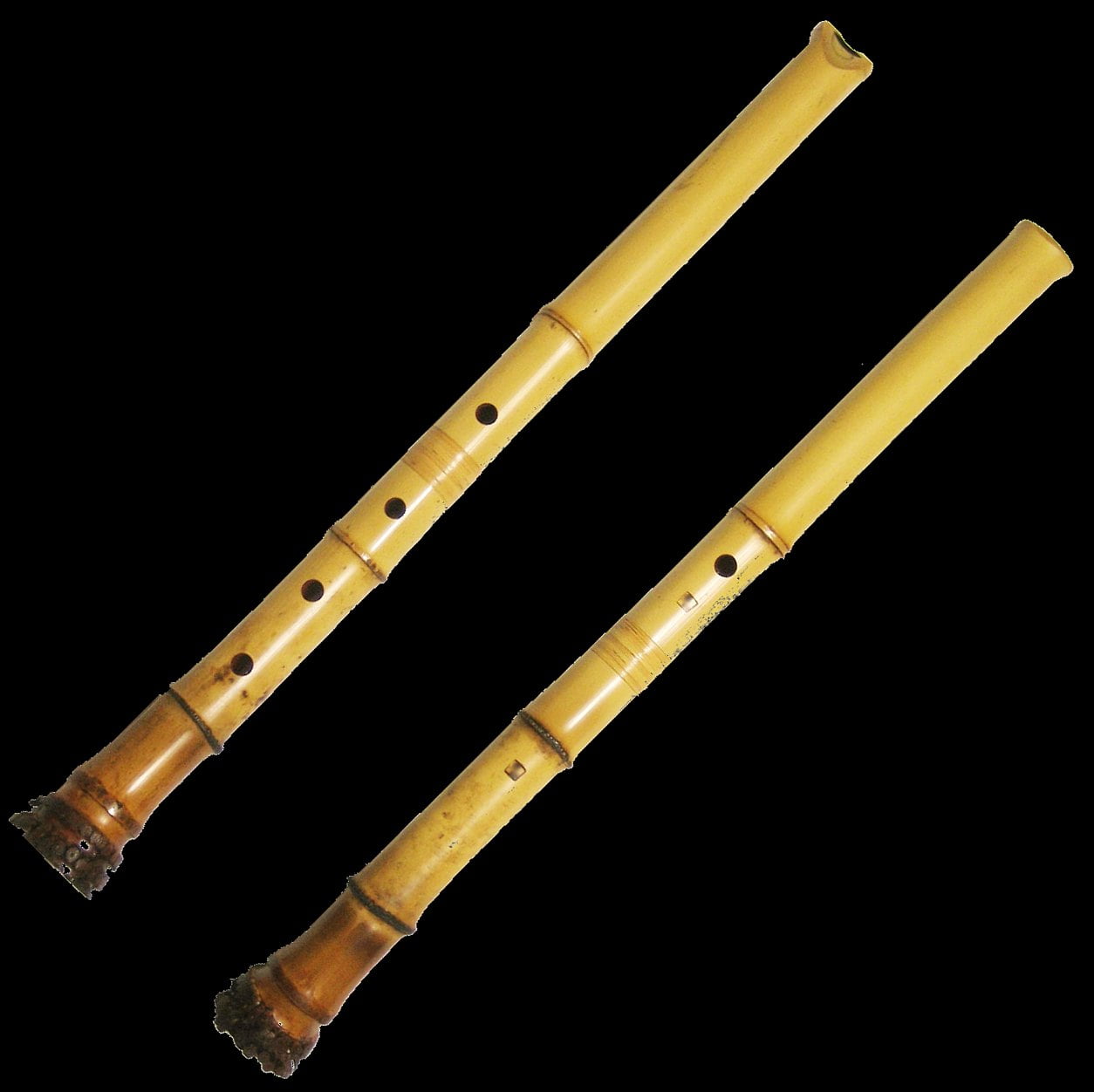 ...life can be translucent | I Ching with Clarity