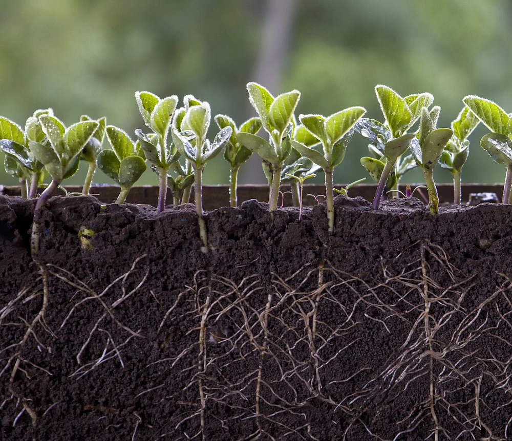 Earth inside (part 1) – I Ching with Clarity